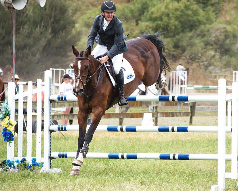 Horse Jump Rails Wood