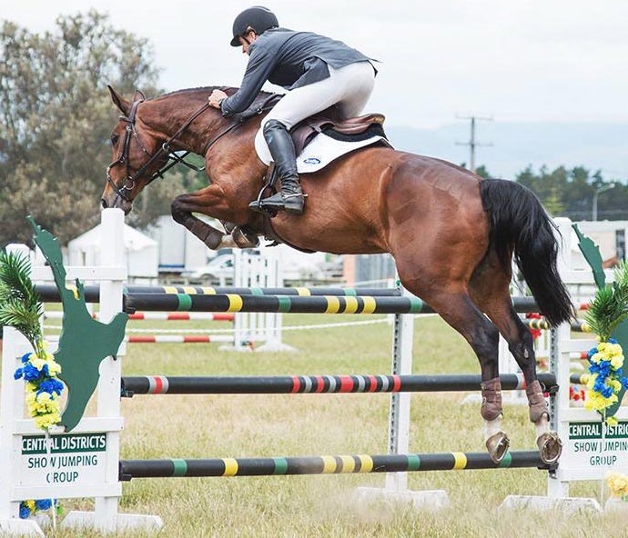 Horse Jump Rails Wood