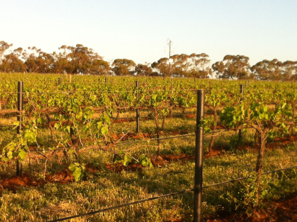 Gallery | WoodShield